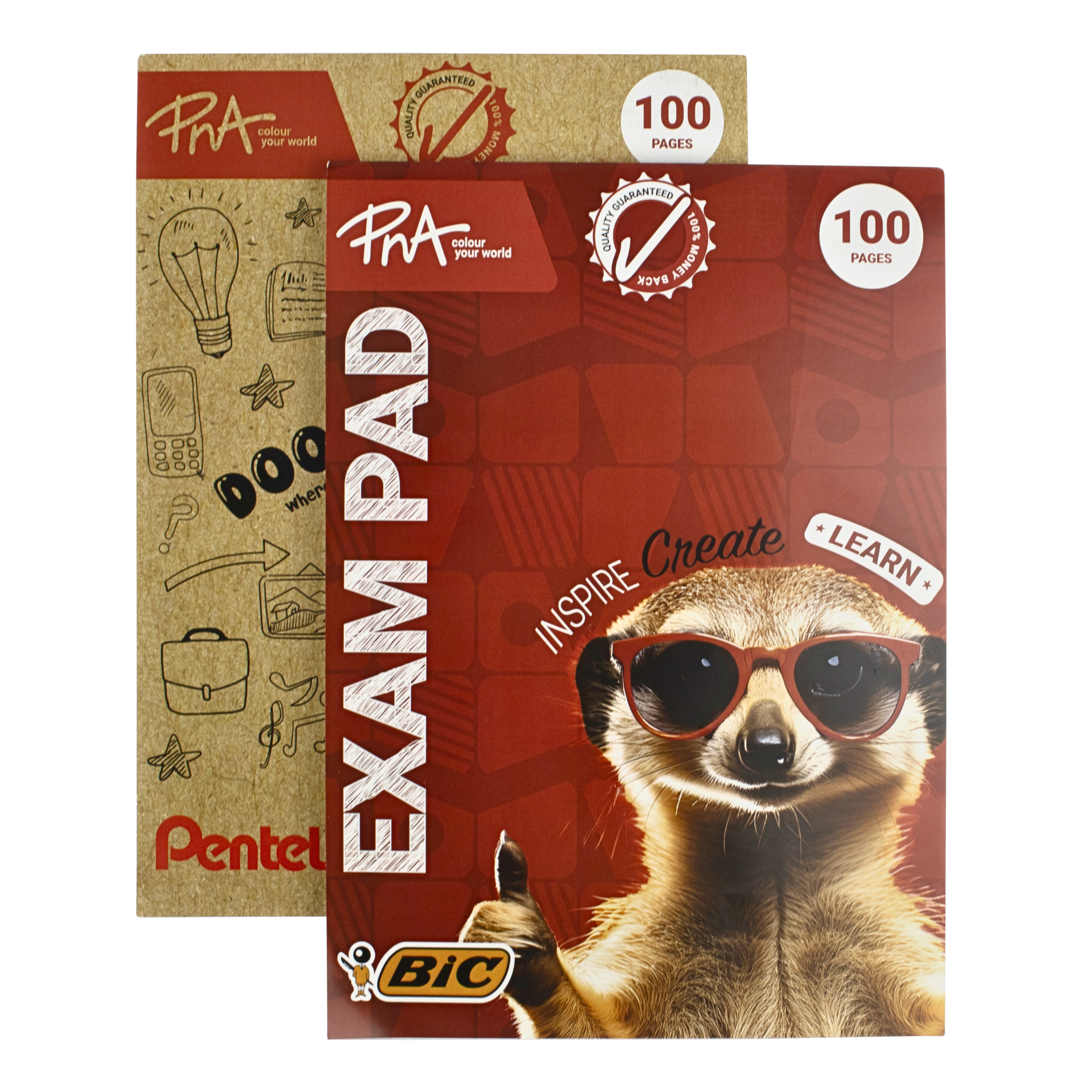 PNA Exam Pad Punched A4 100 Page - PNA Sandton Gate